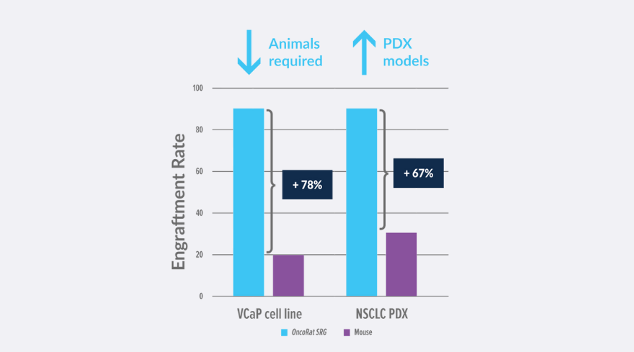 Evolution Of The Rat Model – Hera BioLabs