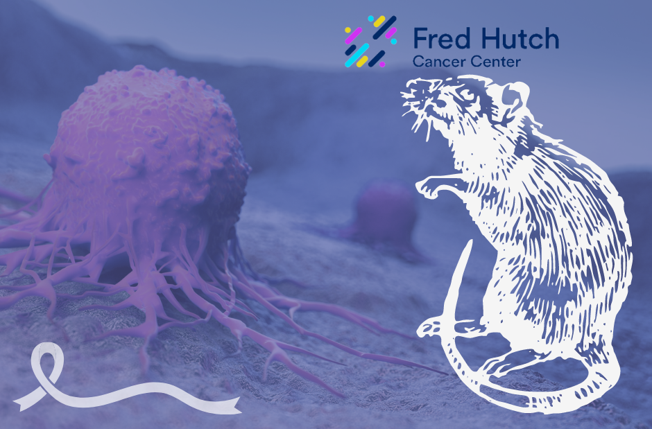 Advantages of Utilizing the SRG rat for Investigating Tumor Metastasis ...